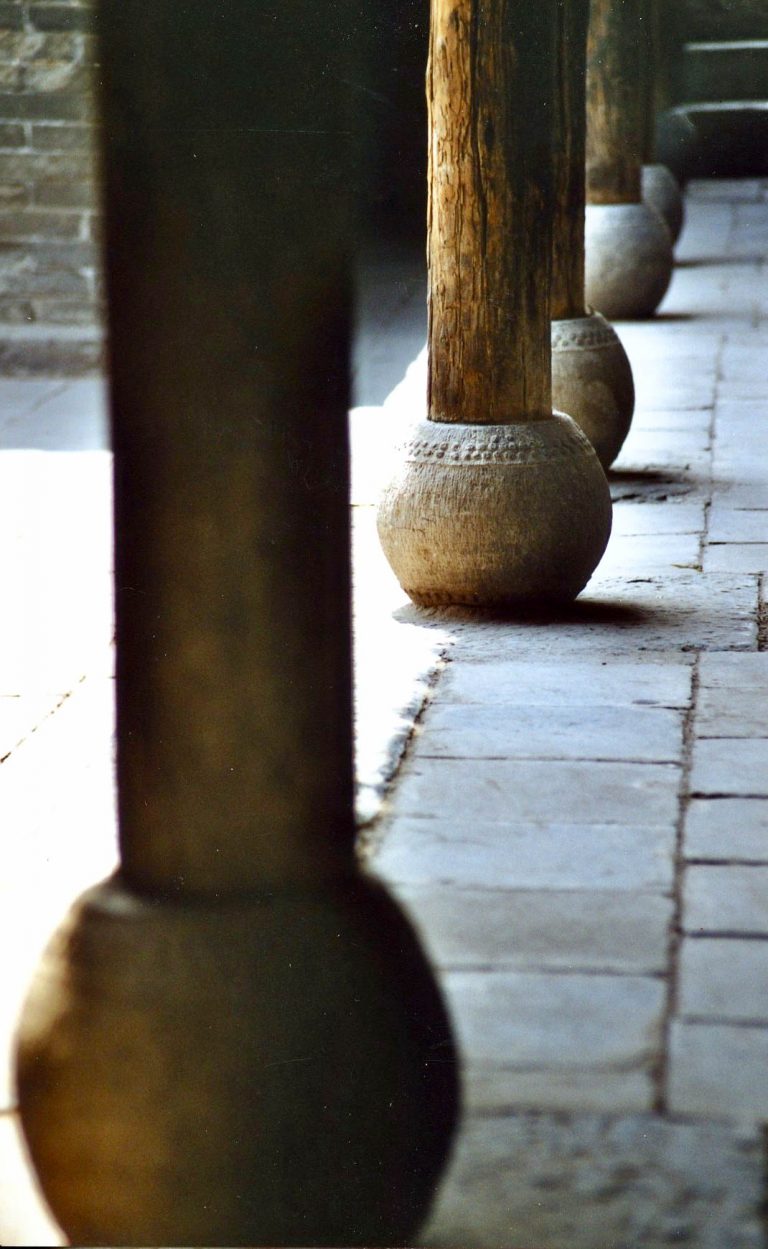 The success story behind the Wang compound (CHINA) - Histambar