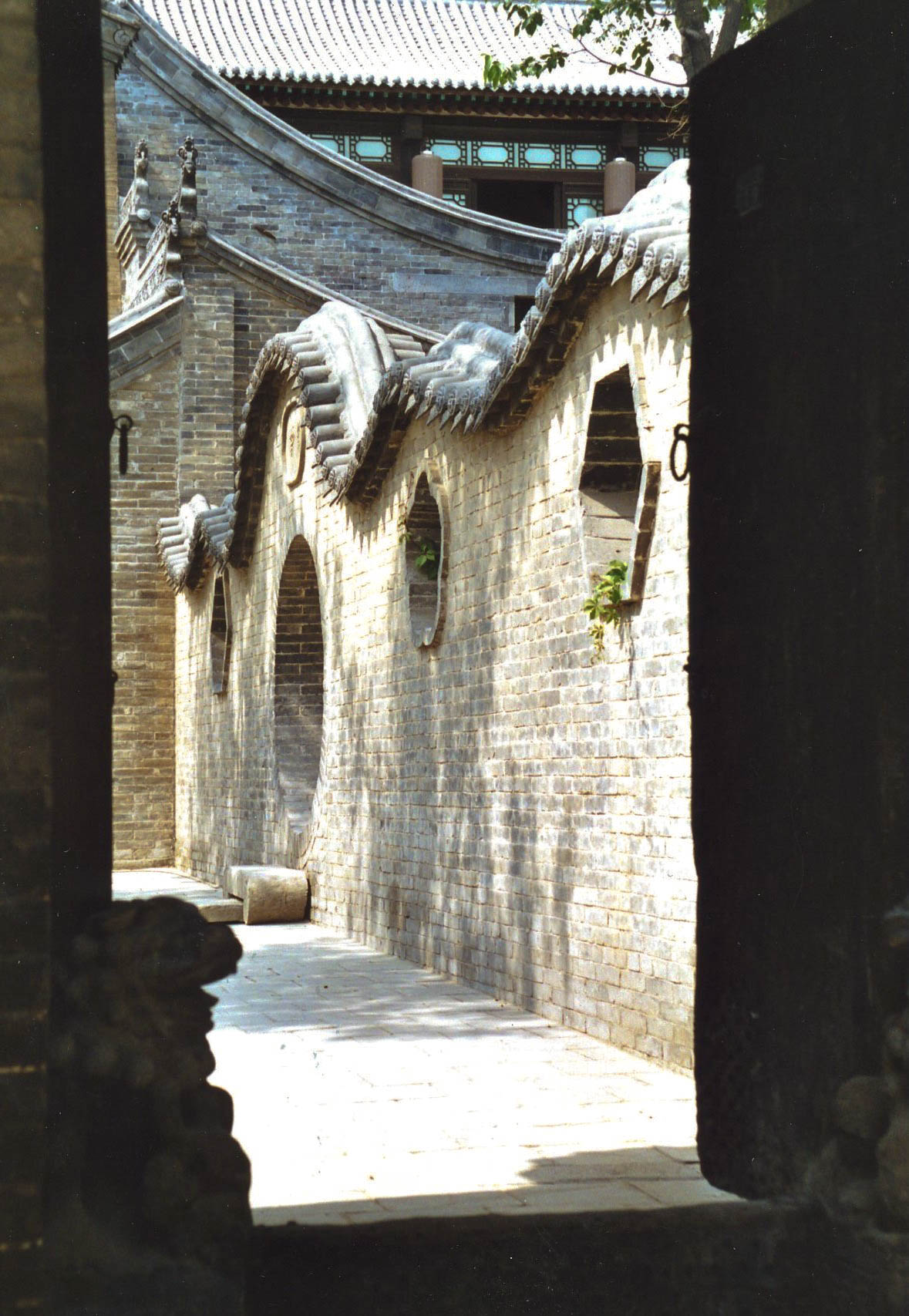 The success story behind the Wang compound (CHINA) - Histambar