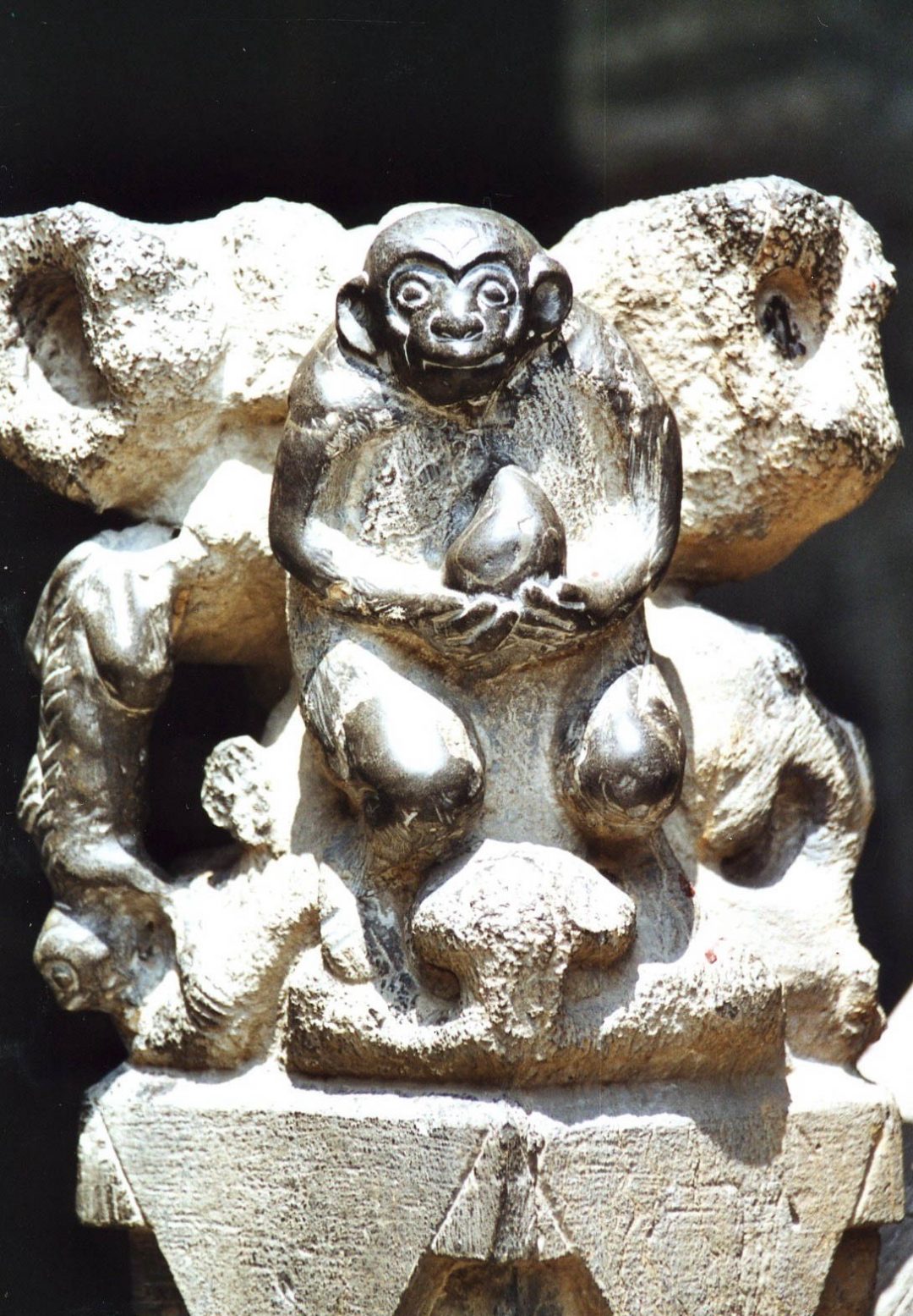 The success story behind the Wang compound (CHINA) - Histambar