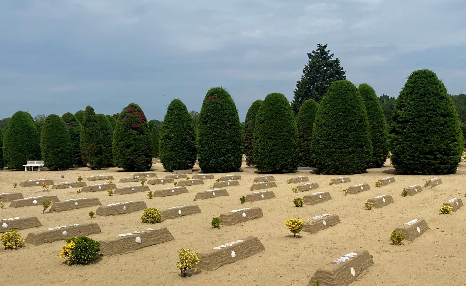 L’extraordinaire pérennité d’un cimetière de sable au Pays Basque ...
