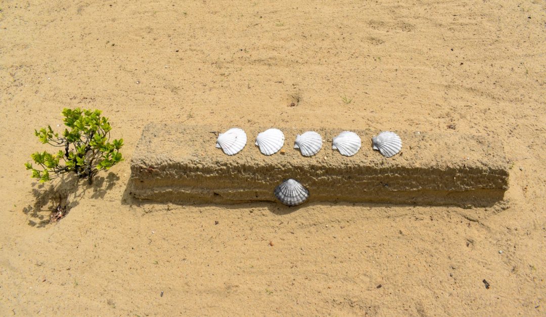 The extraordinary durability of a sand cemetery in the Basque Country ...
