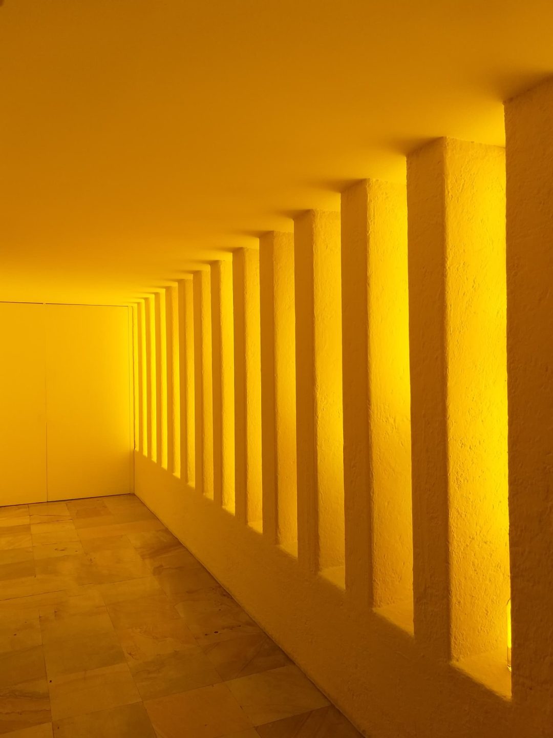 Luis BARRAGAN, l’architecte iconique du Mexique - Histambar