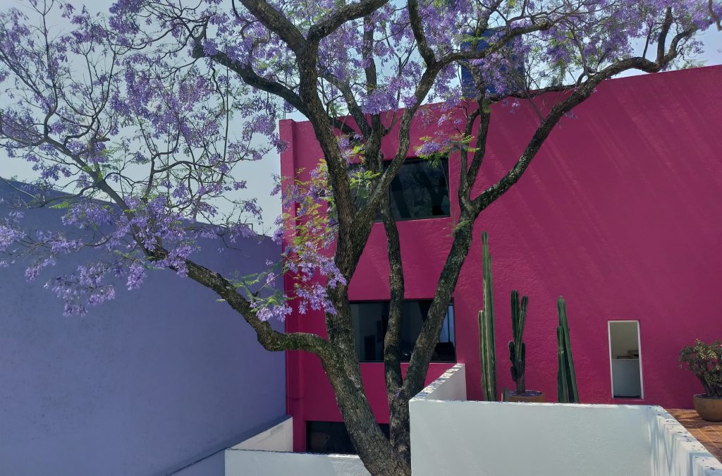 Luis BARRAGAN, l’architecte iconique du Mexique - Histambar